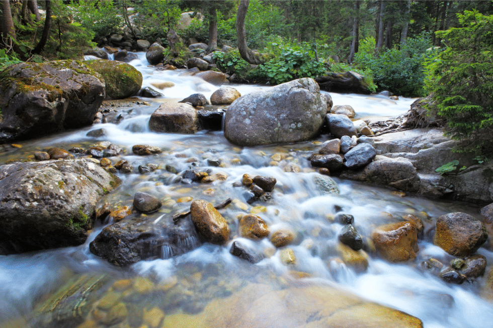 Coming to God’s Table: Embracing Humility and Grace | St Michaels Church